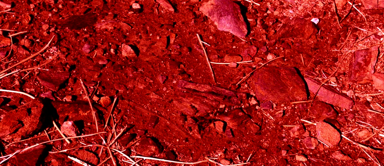 Nemesis 5: The New Model Movie Trailer - Suggesting Movie