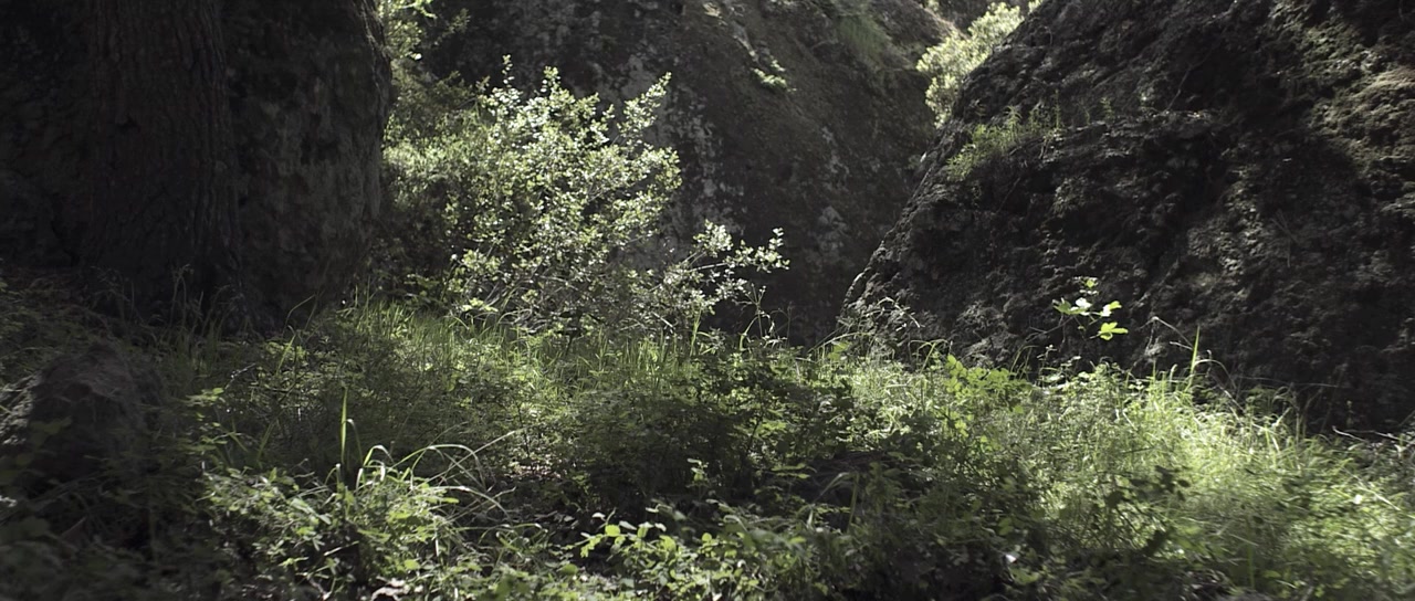 Static Movie Trailer - Suggesting Movie