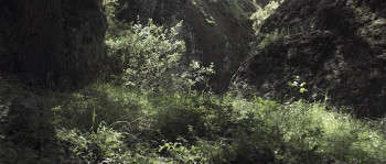 Static Movie Trailer - Suggesting Movie