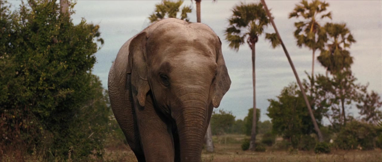 Same Same But Different Movie Trailer - Suggesting Movie