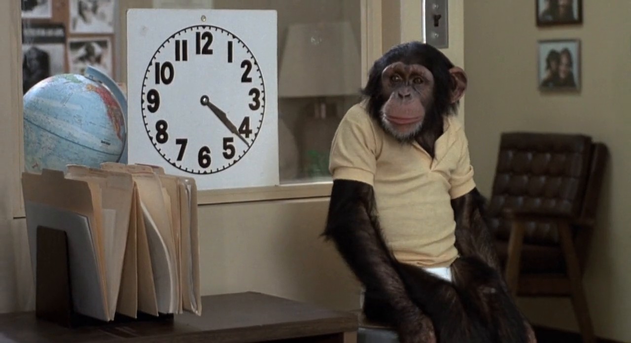 Project X Movie Trailer - Suggesting Movie