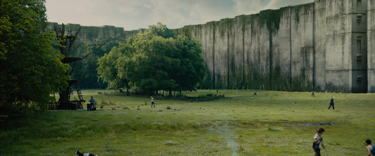 The Maze Runner Movie Trailer - Suggesting Movie