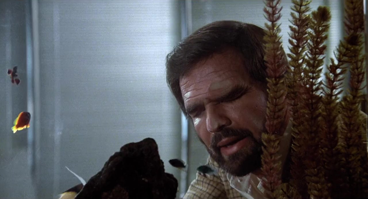 Pod Movie Trailer - Suggesting Movie