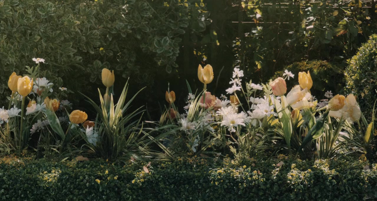 The Ones Below Movie Trailer - Suggesting Movie