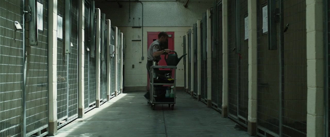 Pet Movie Trailer - Suggesting Movie