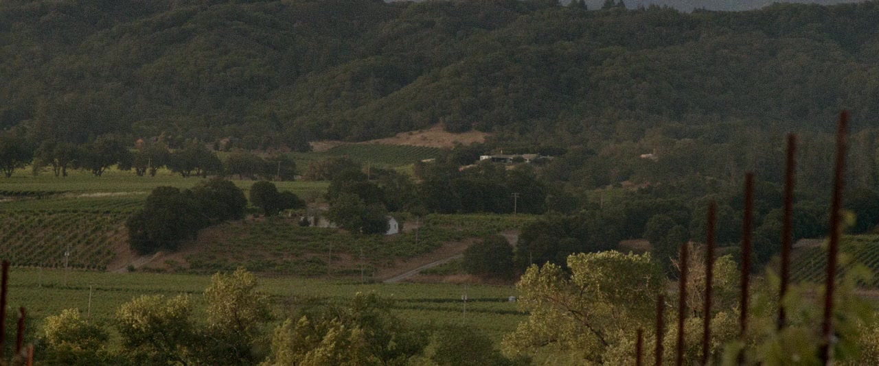 The Feels Movie Trailer - Suggesting Movie