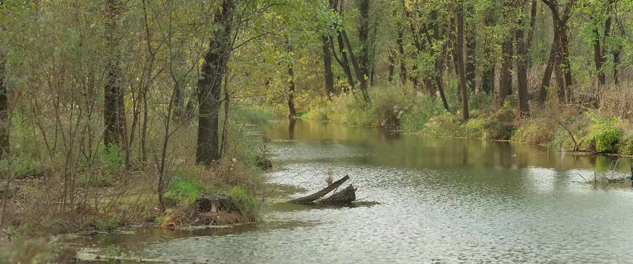 Monster Hunt 2 Movie Trailer - Suggesting Movie