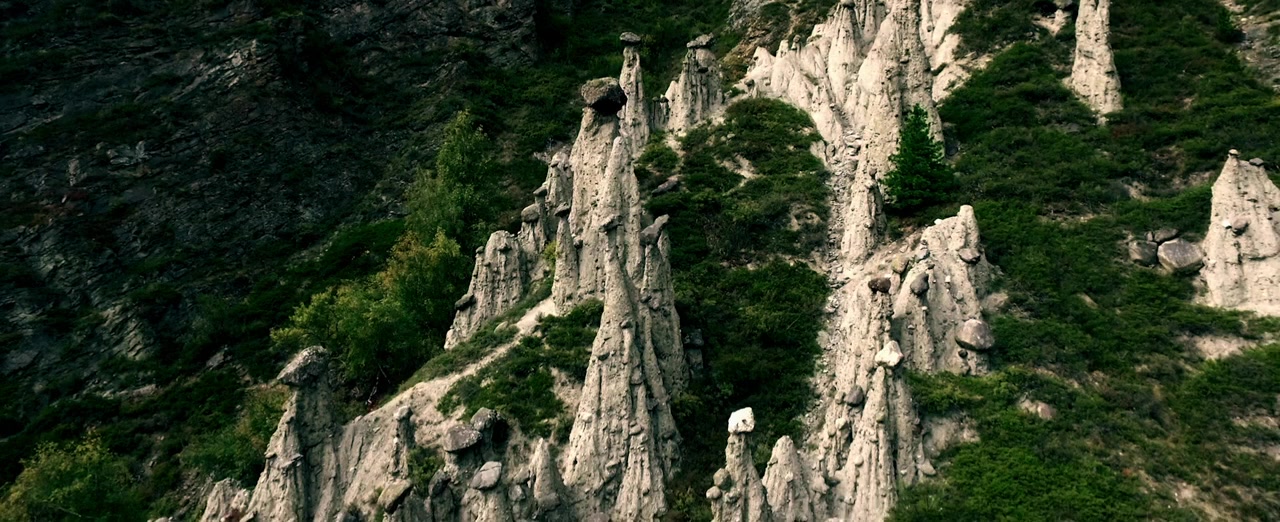 The Body Tree Movie Trailer - Suggesting Movie