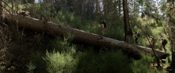 Feral Movie Trailer - Suggesting Movie