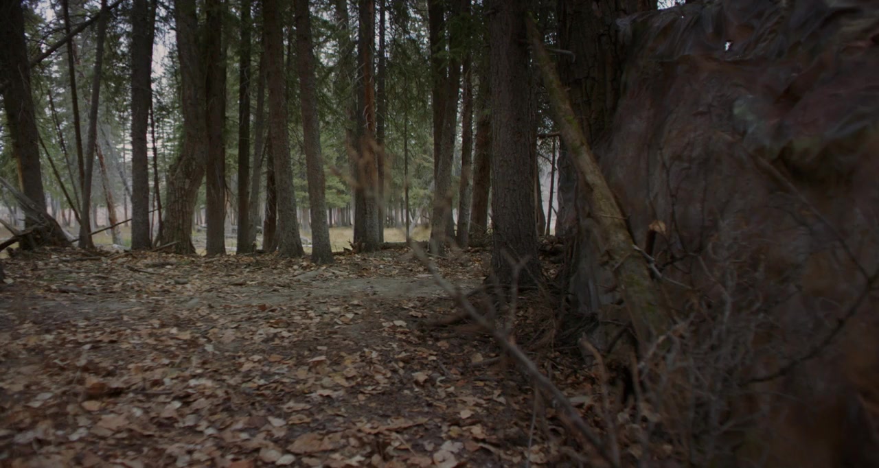 The Northlander Movie Trailer - Suggesting Movie