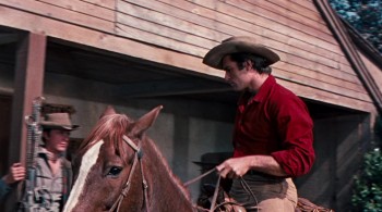 Yellowstone Kelly Movie Trailer - Suggesting Movie