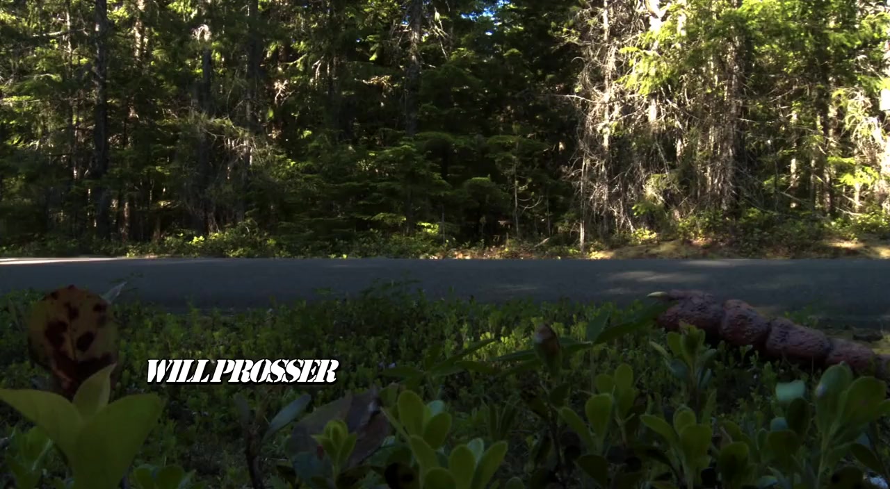 Maggots Movie Trailer - Suggesting Movie